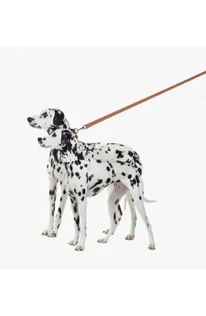 Mcm Pet Leash In Visetos