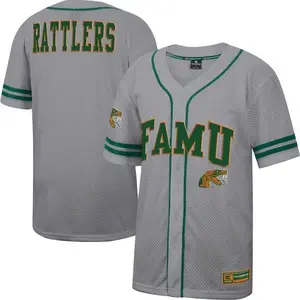 COLOSSEUM Florida A&m Rattlers Free Spirited Baseball Jersey - Gray