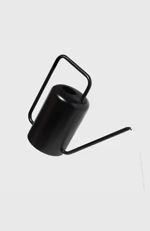 PUBLIC GOODS Watering Can