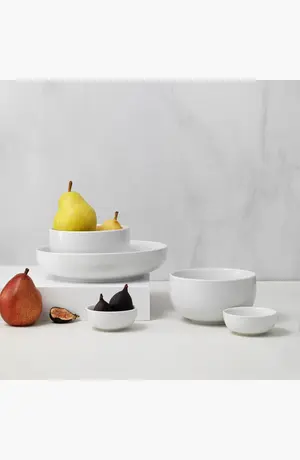 PUBLIC GOODS Ceramic Dinner Bowls
