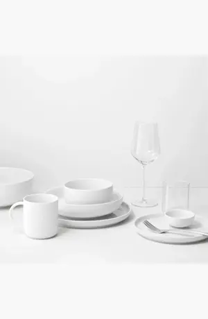 PUBLIC GOODS Ceramic Dinner Bowls