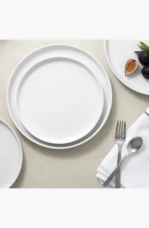 PUBLIC GOODS Ceramic Dinner Plates