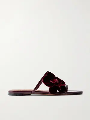 Zimmermann Orchid Appliquéd Glossed-leather Slides - Burgundy