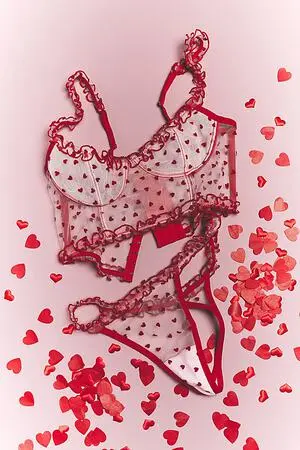 LYREBIRD Heart Mesh Longle Bra - Red Heart Flock