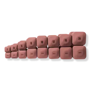 WeGym Safegrip Dumbbells Full Set - Rose