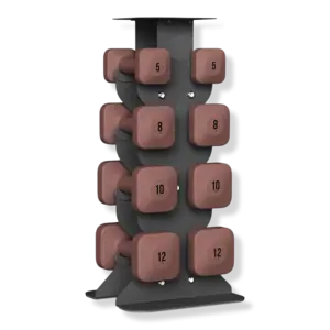 WeGym Safegrip Dumbbells Middle Set With Dark Rack