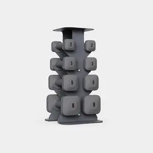 WeGym Safegrip Dumbbells Lower Set With Rack - Slate