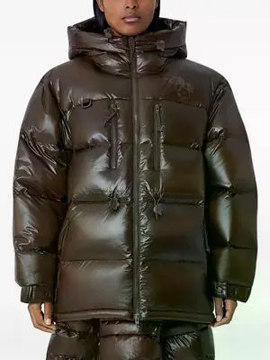 The North Face Puffer Brown