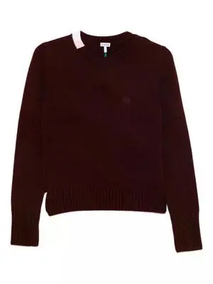 Loewe Long Sleeve Knitwear For Women