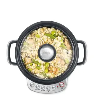 SAGE The Risotto Plus Multi-cooker