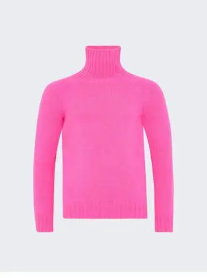 JW Anderson Turtle Neck Sweater