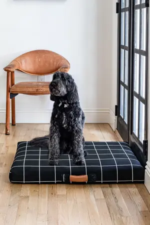 LAY LO Grid Dog Bed - Black