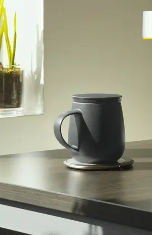 OHOM INC Ui 3 Self-heating Mug Set