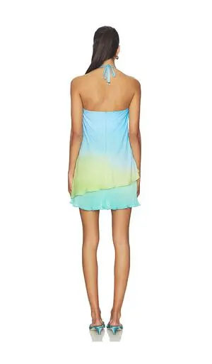 BAOBAB Cassis Mini Dress