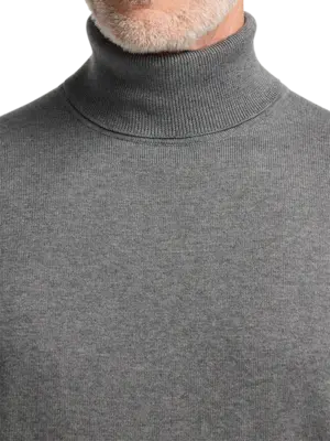 PAUL FREDRICK Supima Cotton Turtleneck