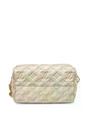 LOUIS VUITTON Speedy 20 Tote Bag