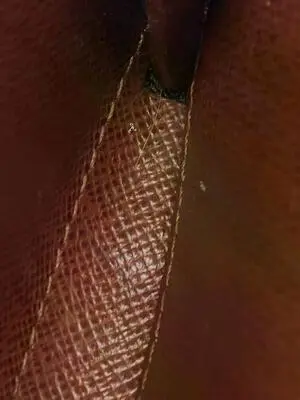 LOUIS VUITTON 2010 Zippy Monogram Wallet