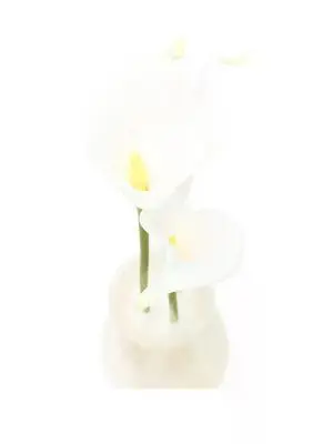 Cult Gaia Florence Clutch - White