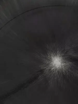 ANN DEMEULEMEESTER Pair Of Chiaroscuro Plates