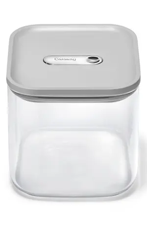 CARAWAY Medium 2.5-quart Airtight Storage Container Gray
