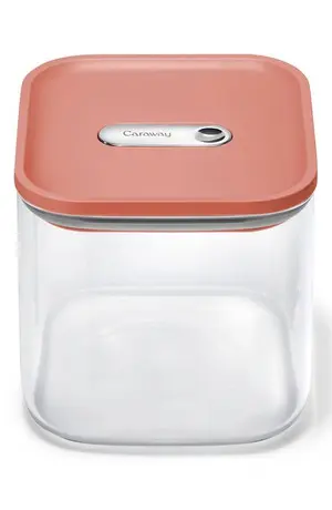 CARAWAY Medium 2.5-quart Airtight Storage Container Perracotta