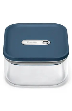 CARAWAY Small 0.9-quart Airtight Storage Container - Navy