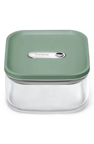 CARAWAY Small 0.9-quart Airtight Storage Container - Sage
