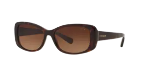 COACH Coach Cat Eye Sunglasses Brown Gradient