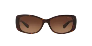 COACH Cat Eye Sunglasses - Brown Gradient