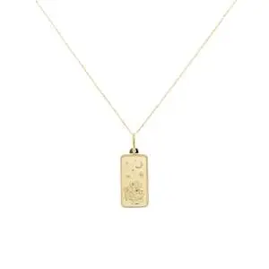 SABRINA DESIGNS CO. Aquarius Zodiac Dog Tag Necklace - Yellow_gold