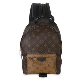 Louis Vuitton Backpack Backpacks