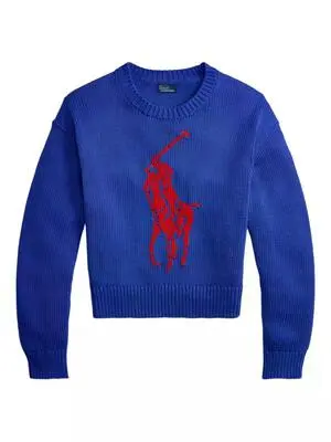 Polo Ralph Lauren Big Pony Sweater