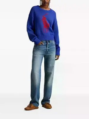 Polo Ralph Lauren Big Pony Sweater