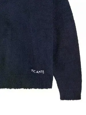 PICANTE Logo-embroidered Sweater