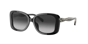 COACH Sunglasses