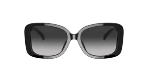 COACH Sunglasses