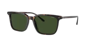 Polo Ralph Lauren Sunglasses - Dark Green