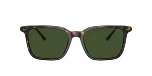 Polo Ralph Lauren Sunglasses - Dark Green