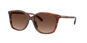 COACH Sunglasses Black