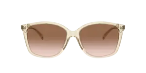 COACH Sunglasses - Brown Gradient