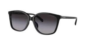 COACH Coach Sunglasses Grey Gradient