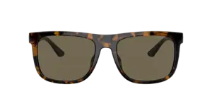 COACH Sunglasses