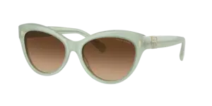Ralph Lauren Sunglasses - Gradient Brown