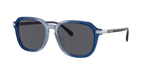 COACH Coach Sunglasses Blue Solid