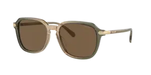 COACH Sunglasses - Brown Solid