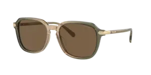 COACH Coach Sunglasses Brown Solid