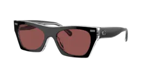 COACH Sunglasses