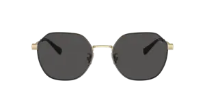 COACH Sunglasses With Full Rim - Grey Solid