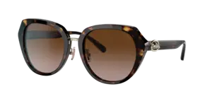 COACH Sunglasses