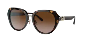 COACH Sunglasses - Brown Gradient